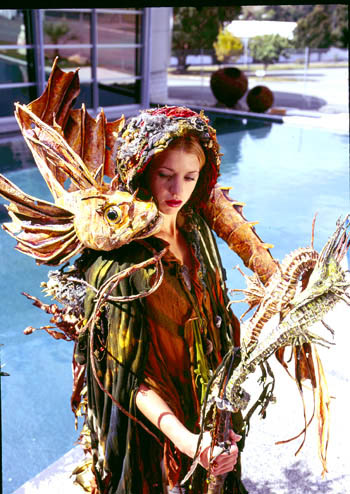 What to See and Do in Nelson